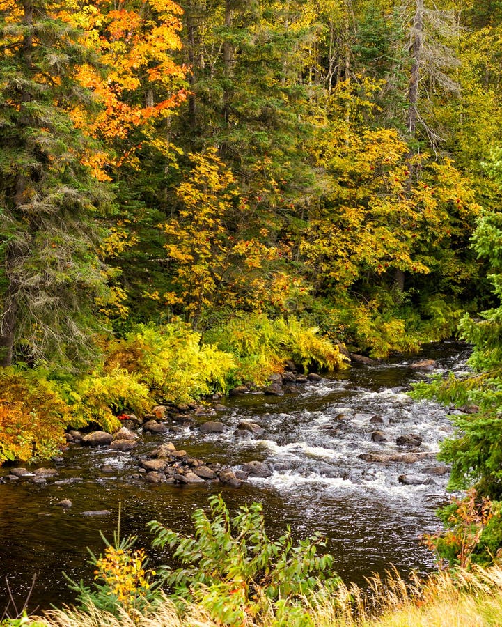 Fall Colors In Northern Ontario Stock Image - Image of shoreline ...