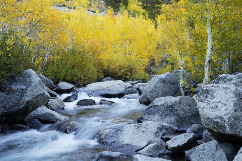 Mountain Stream, Fall Colors Stock Photo - Image of colors, owens: 294786