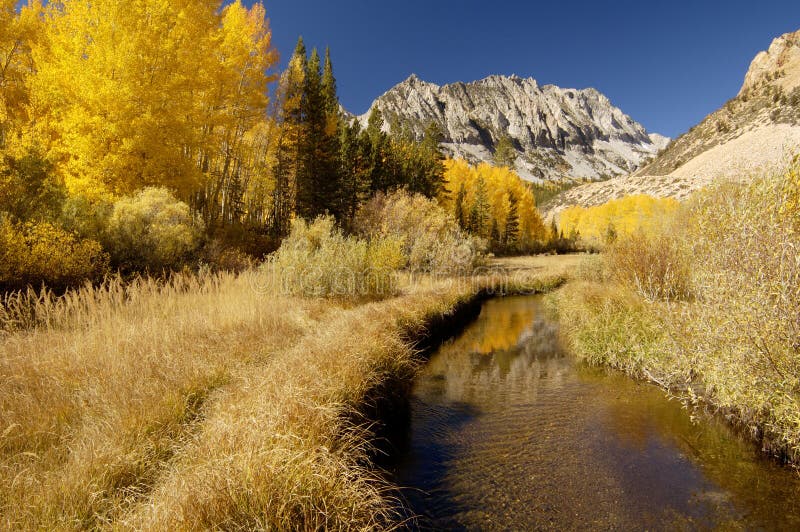 Mountain Stream, Fall Colors Stock Photo - Image of colors, owens: 294786