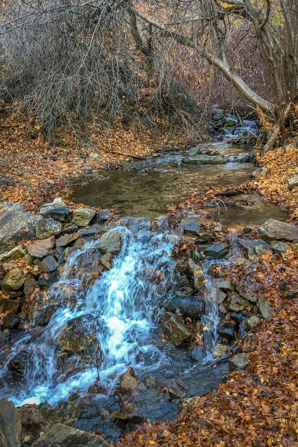 Mountain Stream in the Fall Stock Image - Image of natural, autumn ...