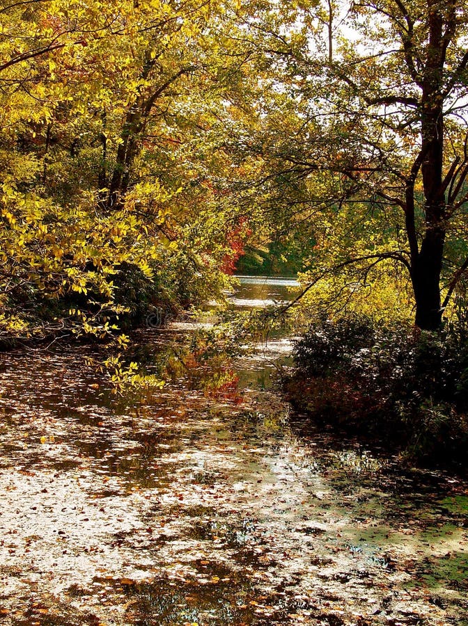 Mountain Stream in Fall stock image. Image of stream - 105631245