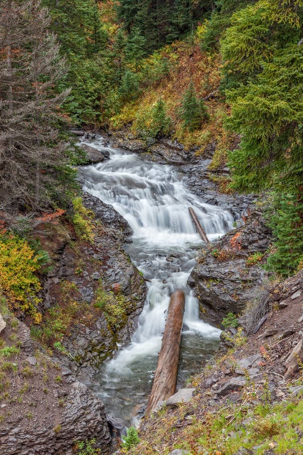 Mountain Stream in Fall stock photo. Image of trees, outdoors - 79555714