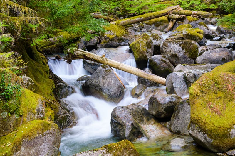 Mountain Stream Falling between Boulders and Fallen Trees Stock Photo ...