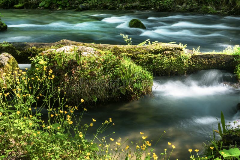 Mountain Stream with Fast Water Stock Photo - Image of movement, wave ...