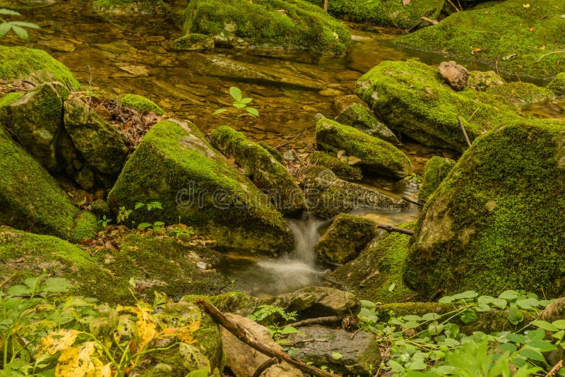 Mountain Stream Flowing Around Moss Covered Boulders Stock Image ...