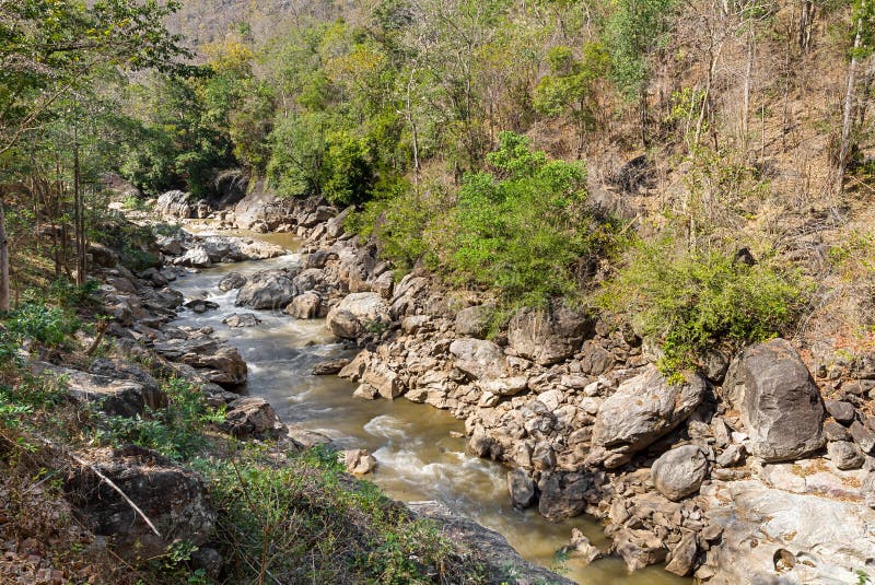 Mountain stream stock photo. Image of rain, grass, moss - 71107616