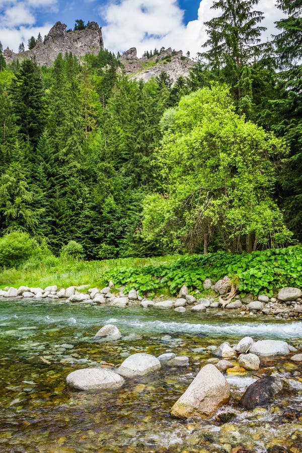 Mountain Stream Flowing into a Pond on a Background of Mountains Stock ...