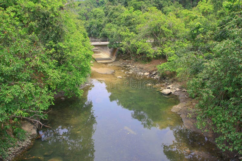 Mountain Stream Flowing into a Mountain River Hk Stock Image - Image of ...