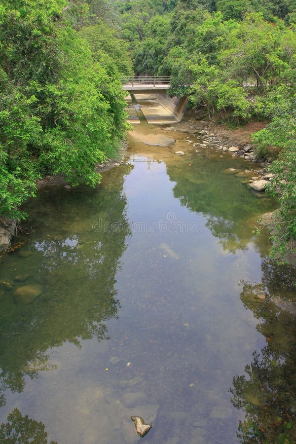 Mountain Stream Flowing into a Mountain River Hk Stock Photo - Image of ...