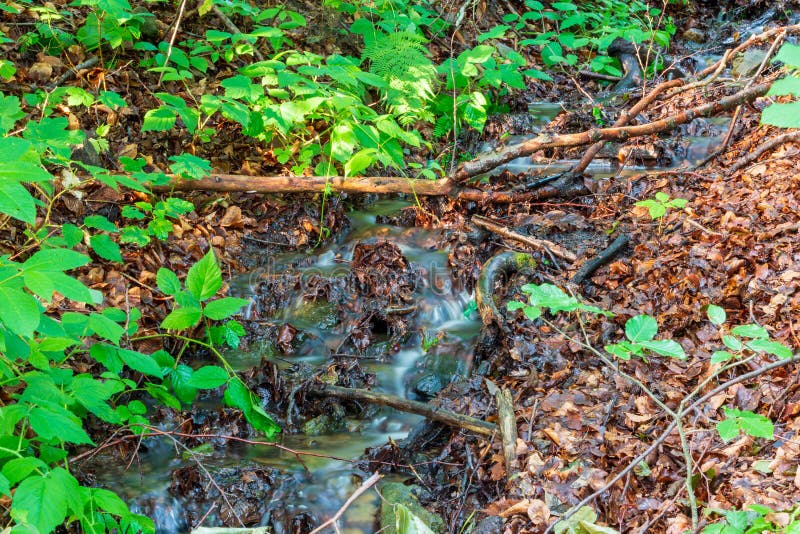Mountain Stream Flowing on the Side of the Mountain Stock Photo - Image ...