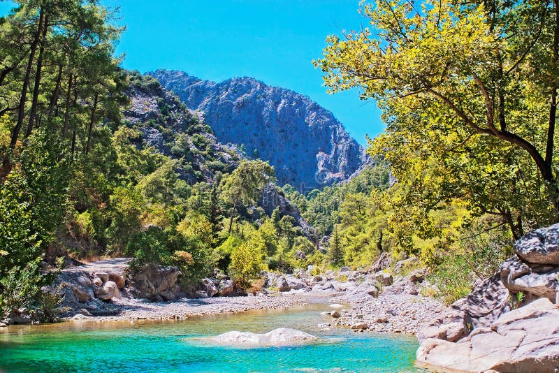 Mountain stream stock photo. Image of rocks, plants, rockies - 31126866
