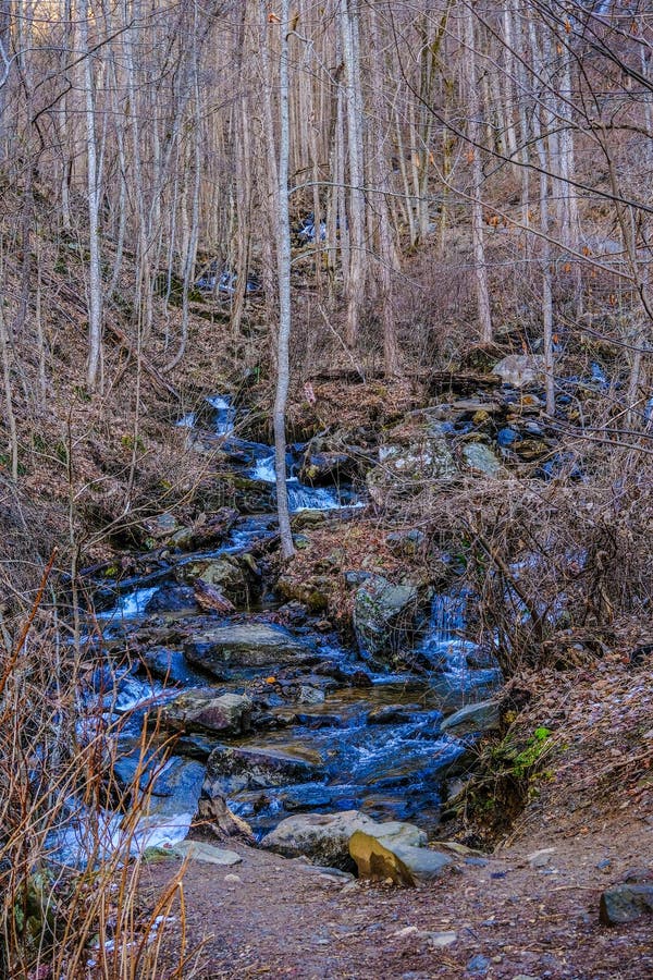 Mountain Stream Flowing stock image. Image of brown - 213385357