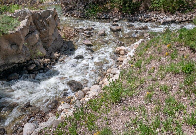 Mountain Stream Flows through the Utah Mountains in Spring Stock Photo ...