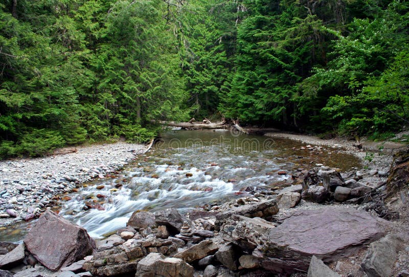 Mountain Stream through Forest Stock Image - Image of water, stream ...