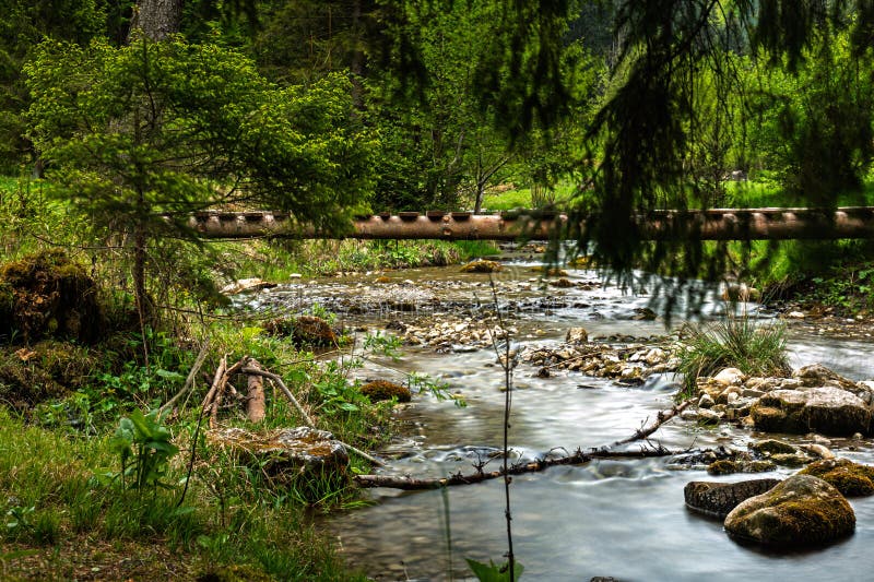 Mountain Stream in the Forest with a Bridge Over the Stream and ...