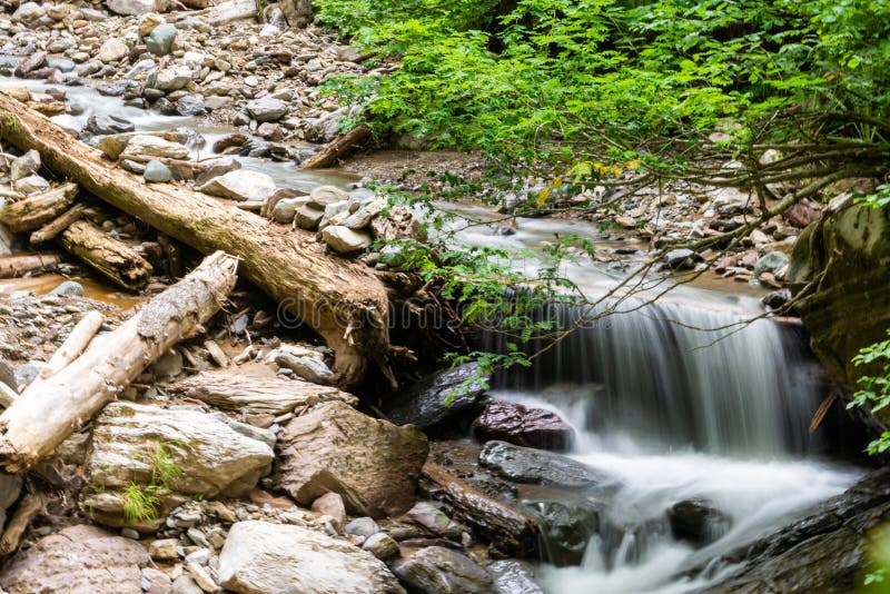 Mountain Stream in the Forest. Fallen Logs and Twigs Stock Image ...