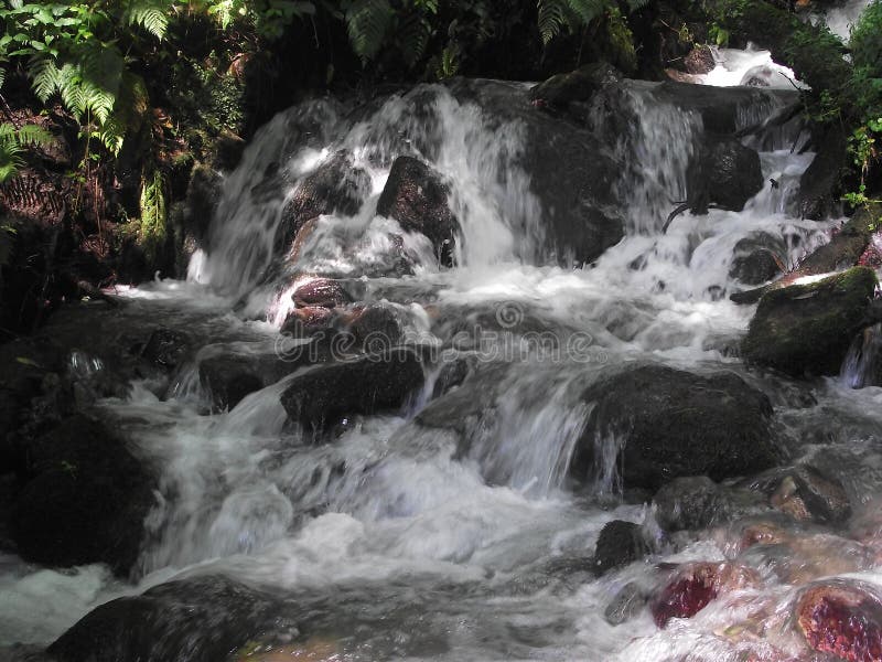 Mountain Stream in the Forest Stock Image - Image of ledges, flow ...
