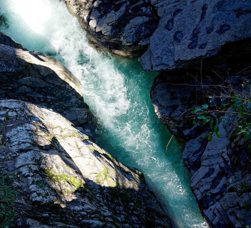 Mountain Stream in Green Forest at Spring Time Stock Photo - Image of ...