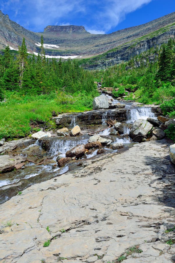 Mountain Stream on a High Alpine Trail in Glacier National Park Stock ...