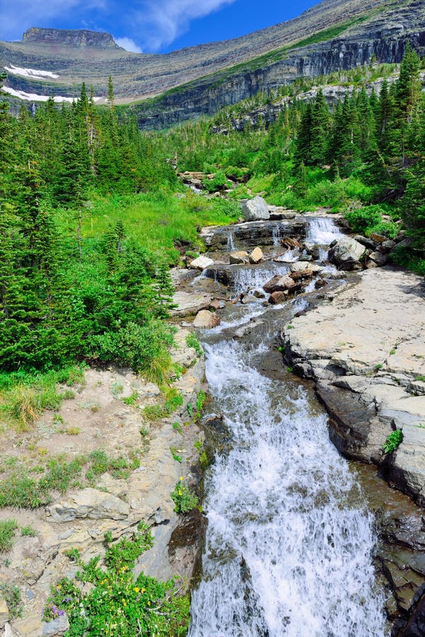 Mountain Stream and Wild Alpine Flowers on a High Alpine Trail in ...