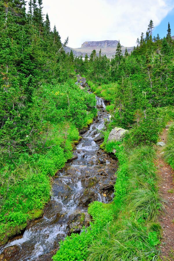 Alpine Stream by the Iceberg Lake Glacier in Glacier National Park ...