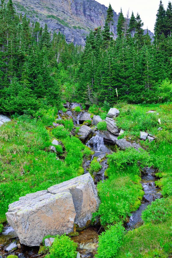 Alpine Stream by the Iceberg Lake Glacier in Glacier National Park ...