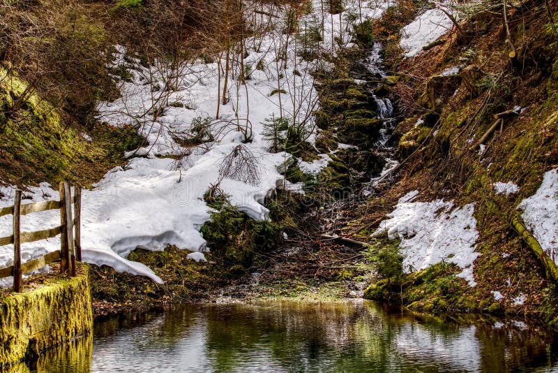 Mountain Stream in the Italian Alps Stock Photo - Image of stream ...