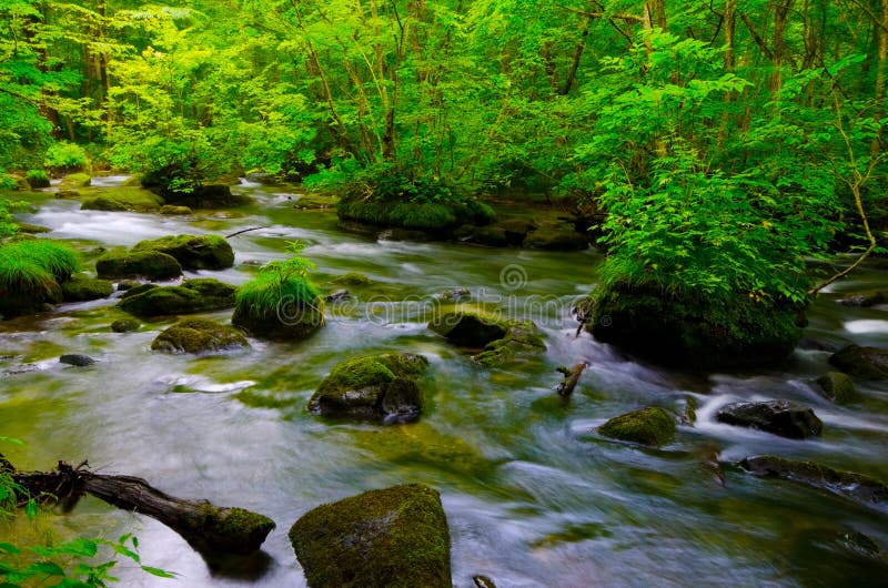 Mountain stream in japan stock image. Image of reflected - 26476769