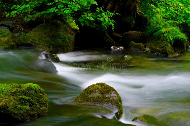 Mountain stream in japan stock photo. Image of oirasekeiryuu - 26476836