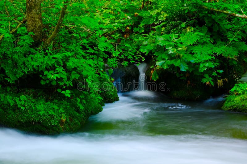 Mountain stream in japan stock image. Image of stream - 26476827