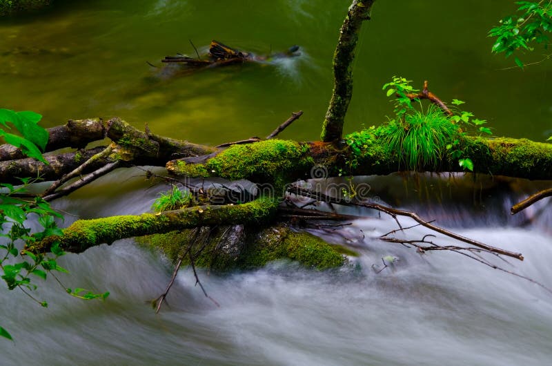 Mountain stream in japan stock photo. Image of stream - 26476812