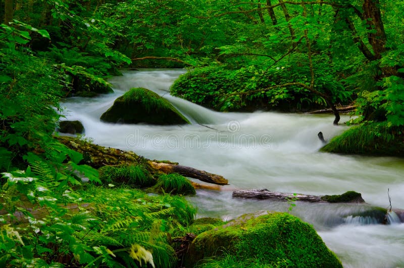 Mountain stream in japan stock image. Image of stream - 26476827