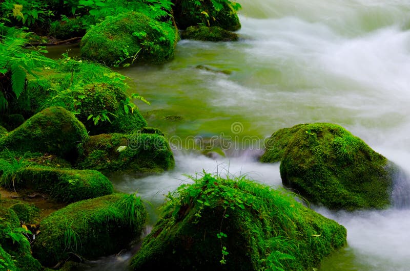 Mountain stream in japan stock photo. Image of oirasekeiryuu - 26476836