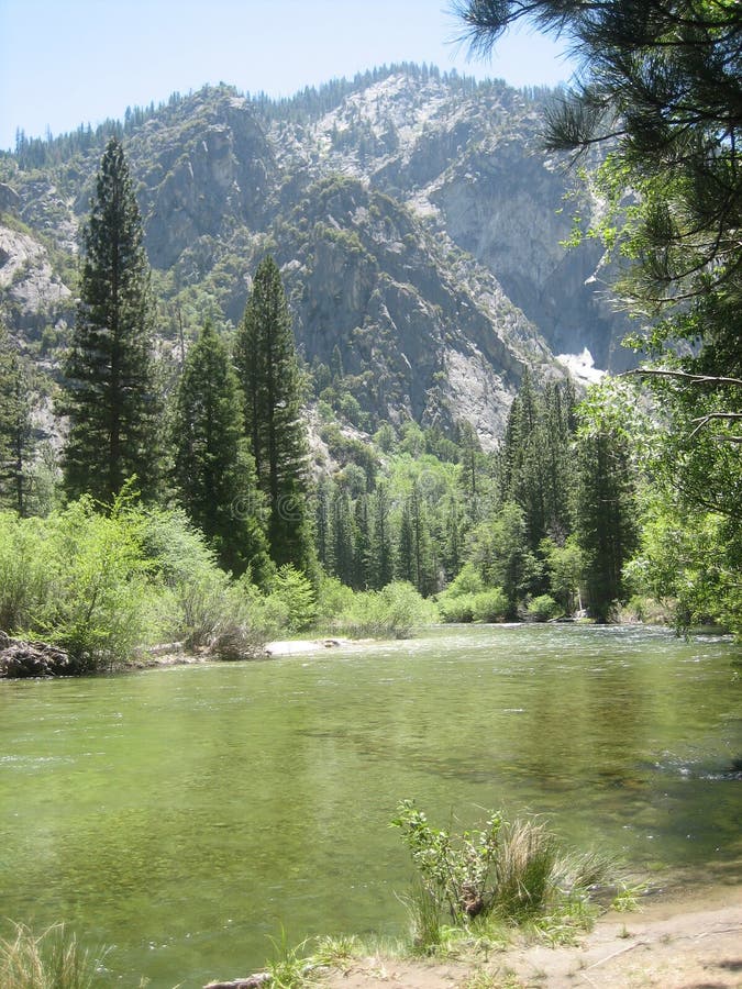 Mountain Stream in Kings Canyon Stock Image - Image of canyon, trees ...