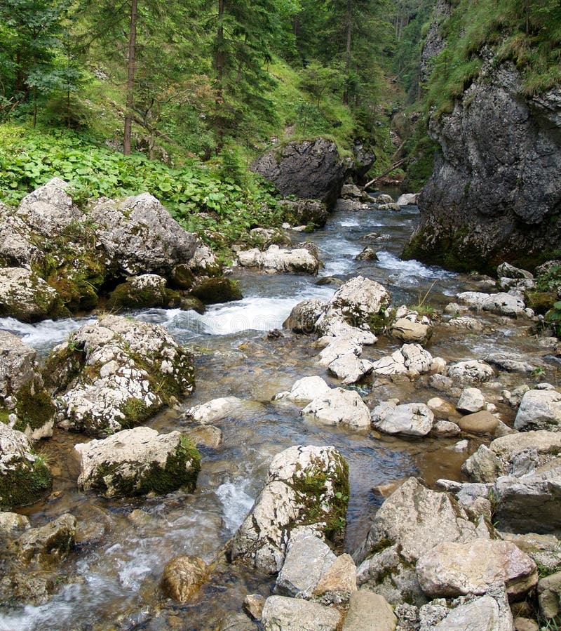 Mountain Stream in Kvacianska Valley, Slovakia. Stock Image - Image of ...