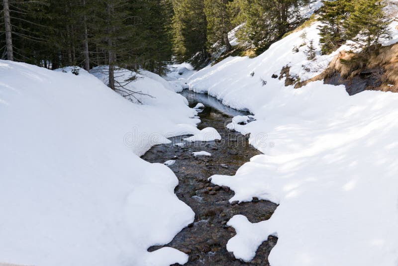Mountain Stream Makes Its Way through Melting Snow Stock Image - Image ...