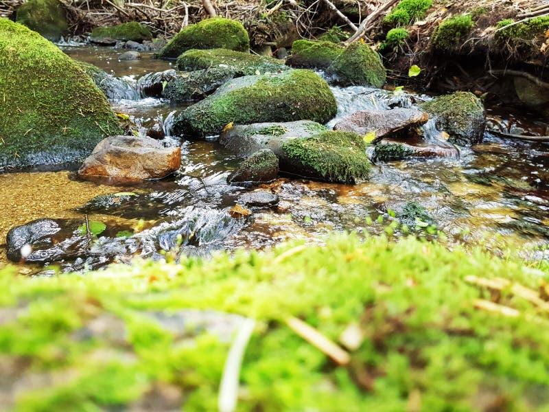 Stones Covered With Moss In Mountain Stream Stock Photo - Image of ...
