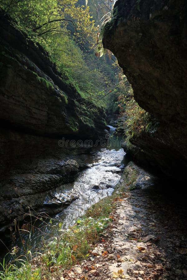 Mountain Stream in the Fall Stock Image - Image of clear, pristine ...