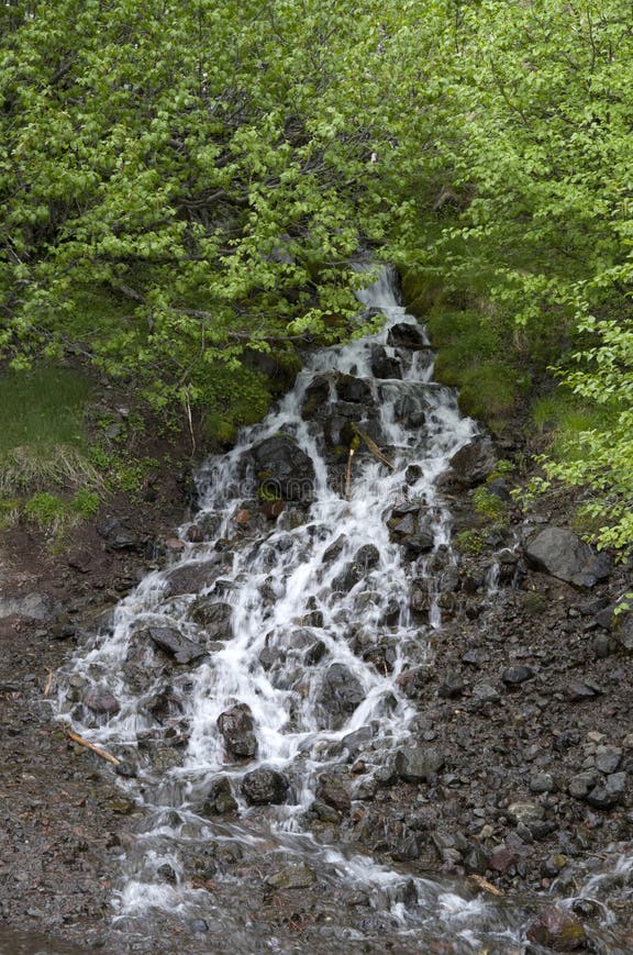 Mountain stream stock image. Image of mountain, tree - 41493359
