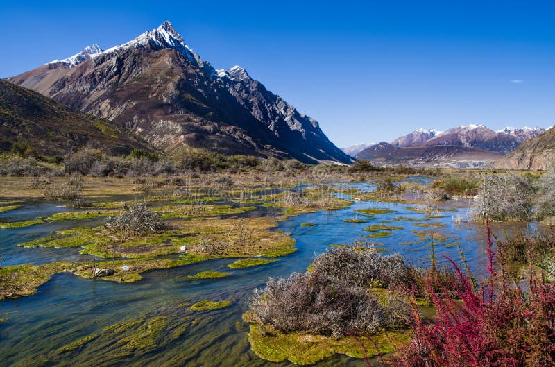 Mountain stream stock image. Image of snow, grassland - 78937327