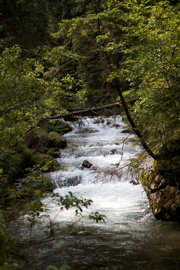 The mountain stream stock photo. Image of stream, recreation - 36682002