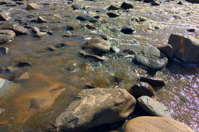 Mountain Stream, Rapid Flow of Water, Stones in the Water Stock Image ...