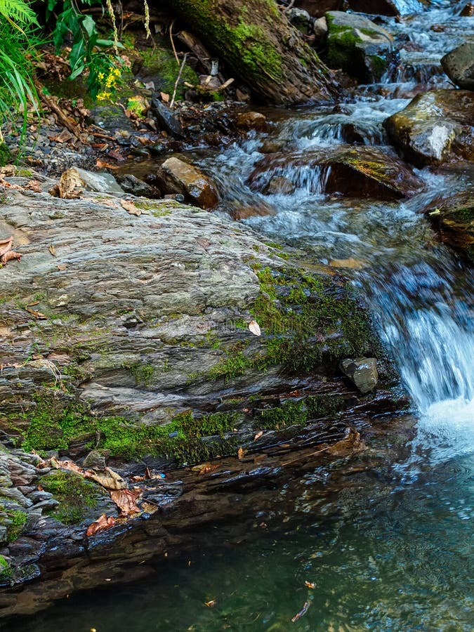Mountain Stream with Rapids Stock Photo - Image of stream, scenic ...