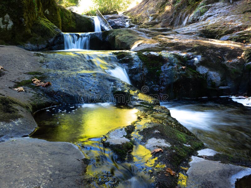 Mountain stream stock photo. Image of oregon, forests - 210514258