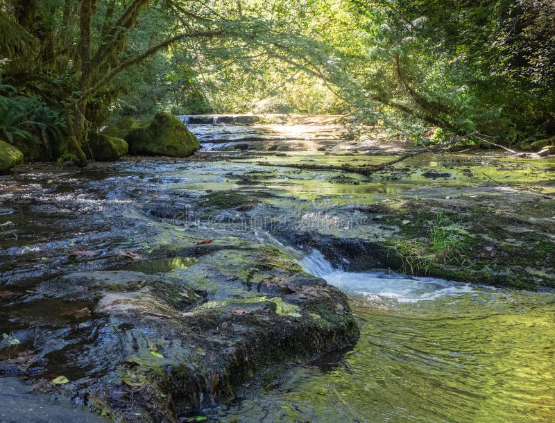 Mountain stream stock photo. Image of trees, mountain - 210514292