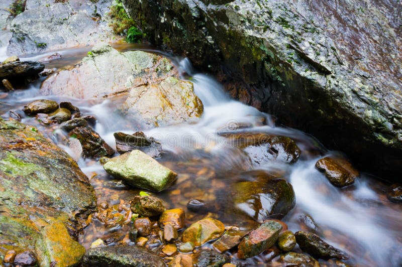 Mountain stream stock image. Image of forest, moss, landscape - 39269613