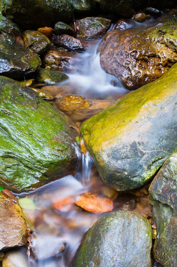 Mountain stream stock photo. Image of nature, tributary - 39690476