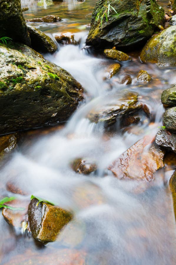 Mountain stream stock photo. Image of wild, plant, river - 39269894