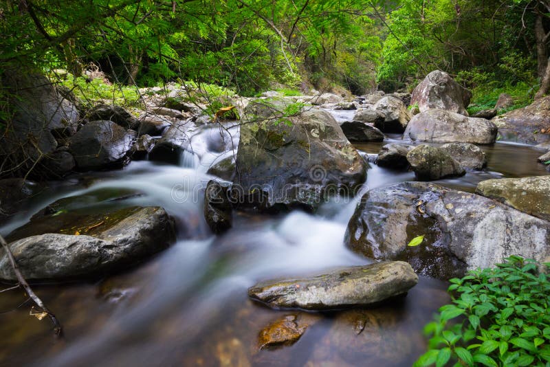Mountain Stream Running Over Rocks Stock Photo - Image of plant, rock ...