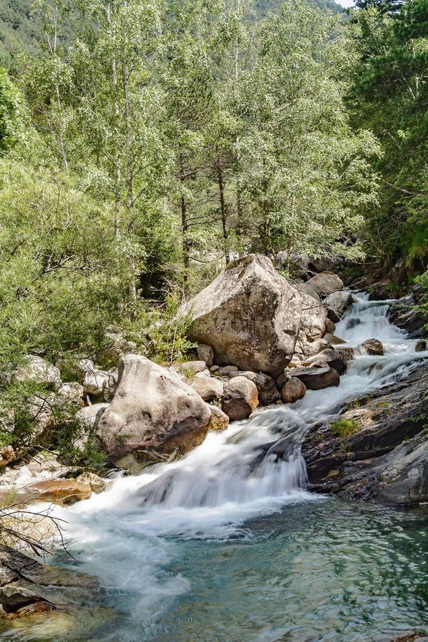 Mountain Stream Rushing through a Forest and Over Boulders. Stock Image ...